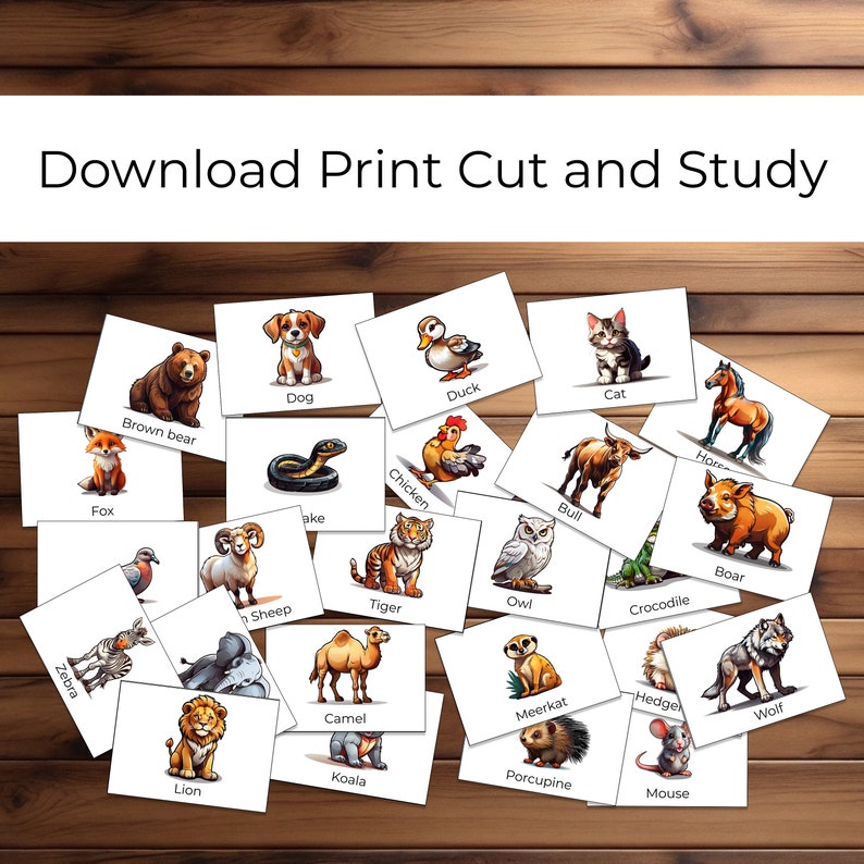 48 Printable Animal Flash Cards for Kids – Nature Learning Cards ...