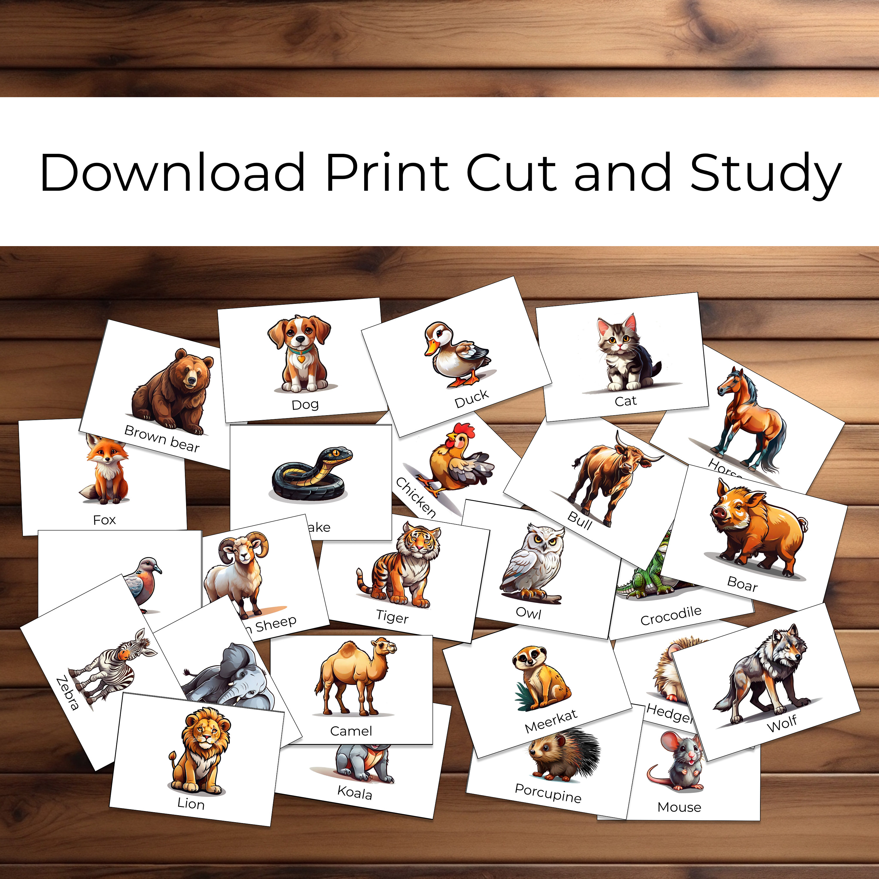 48 Printable Animal Flash Cards for Kids – Nature Learning Cards ...
