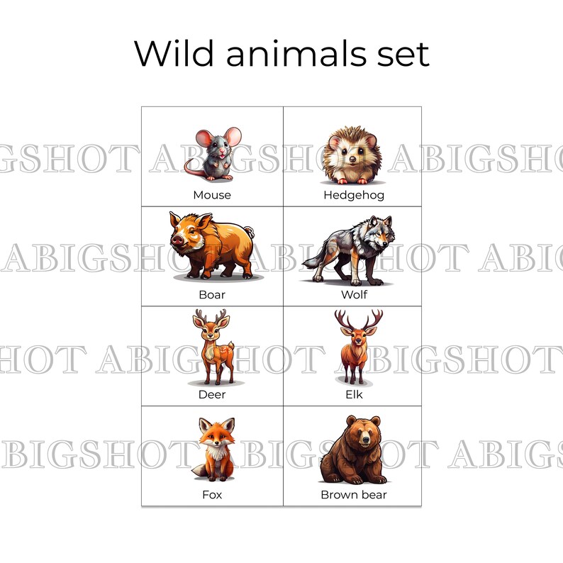 48 Printable Animal Flash Cards for Kids – Nature Learning Cards ...