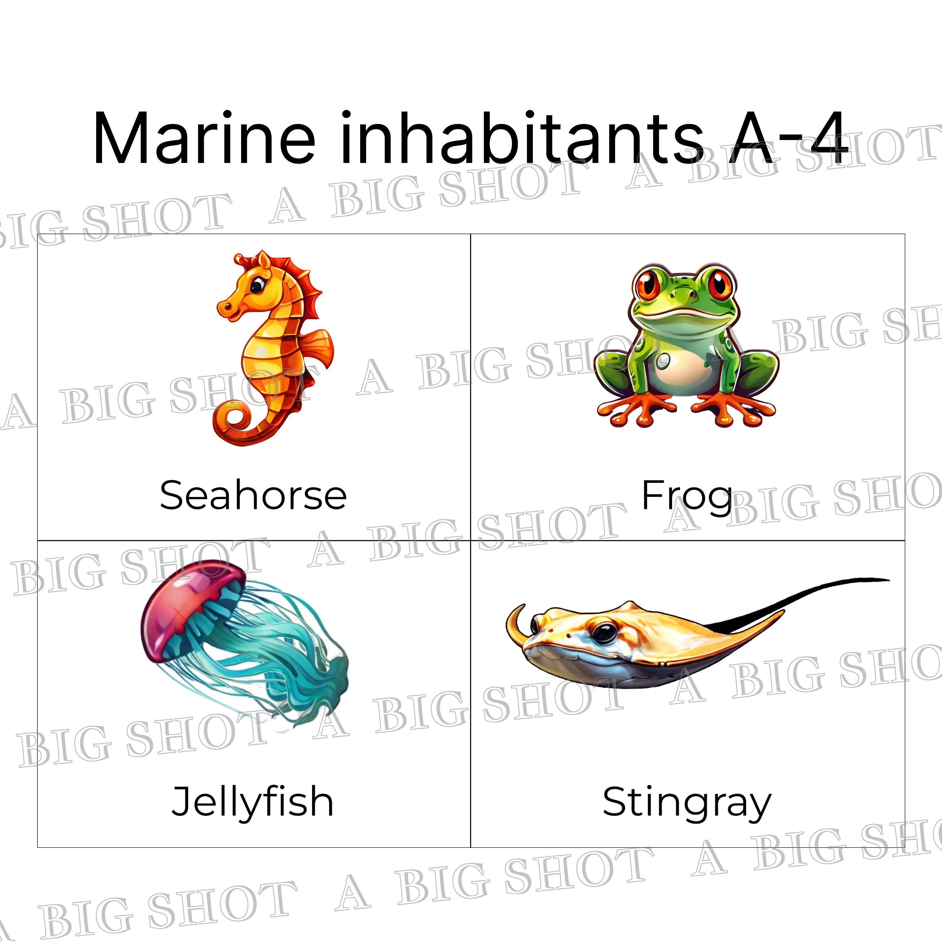 Cute Under the Sea Animals Flashcards | Marine Inhabitants A-4 | Ocean ...
