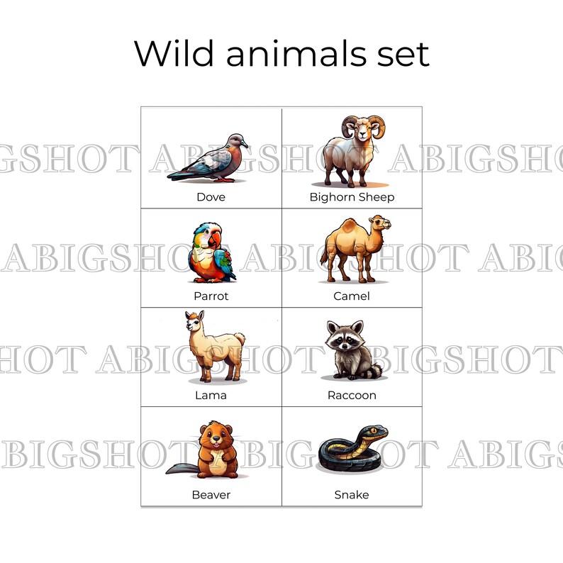 48 Printable Animal Flash Cards for Kids – Nature Learning Cards ...