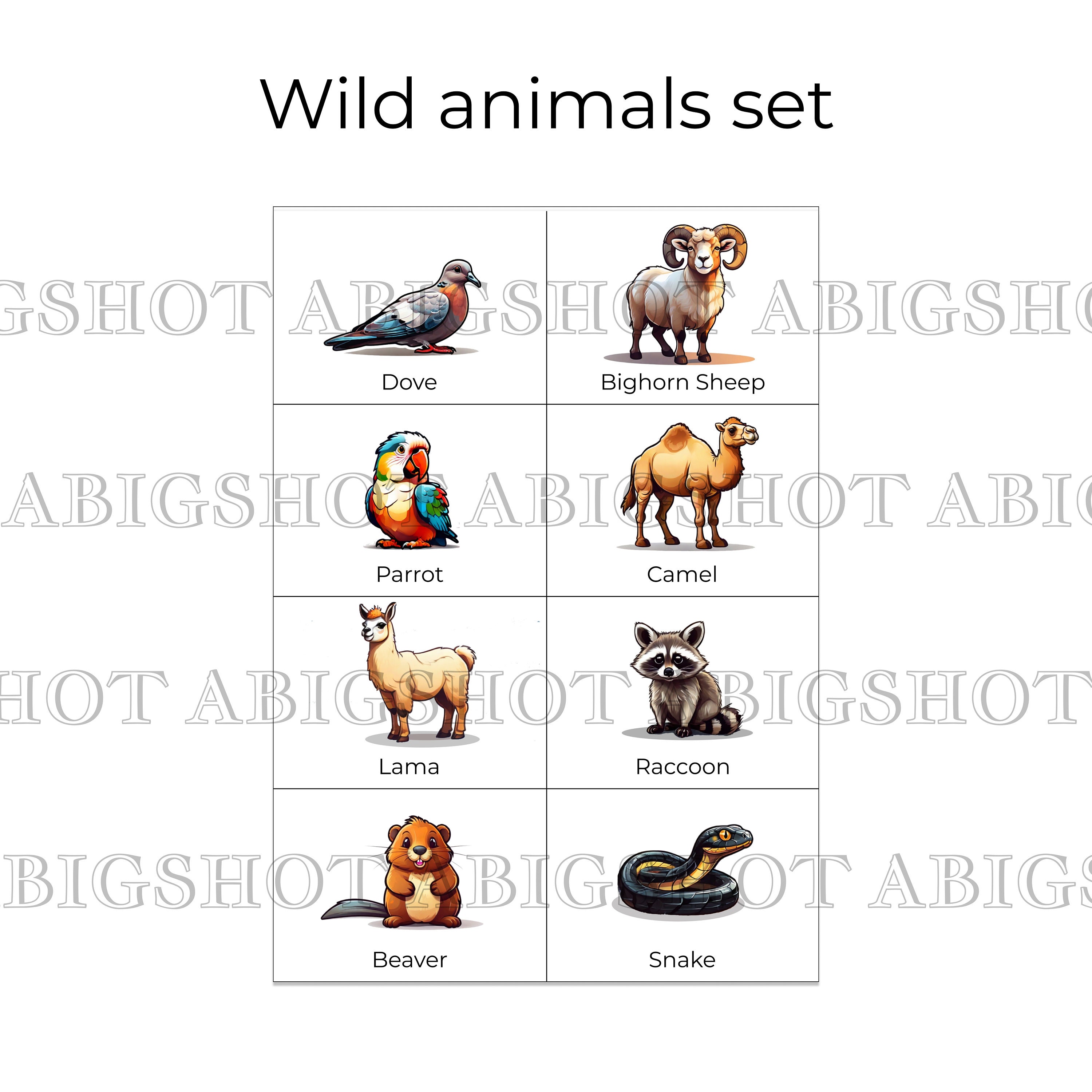 48 Printable Animal Flash Cards for Kids – Nature Learning Cards ...