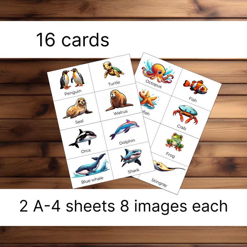 Cute Under the Sea Animals Flashcards | Marine Inhabitants A-4 | Ocean ...