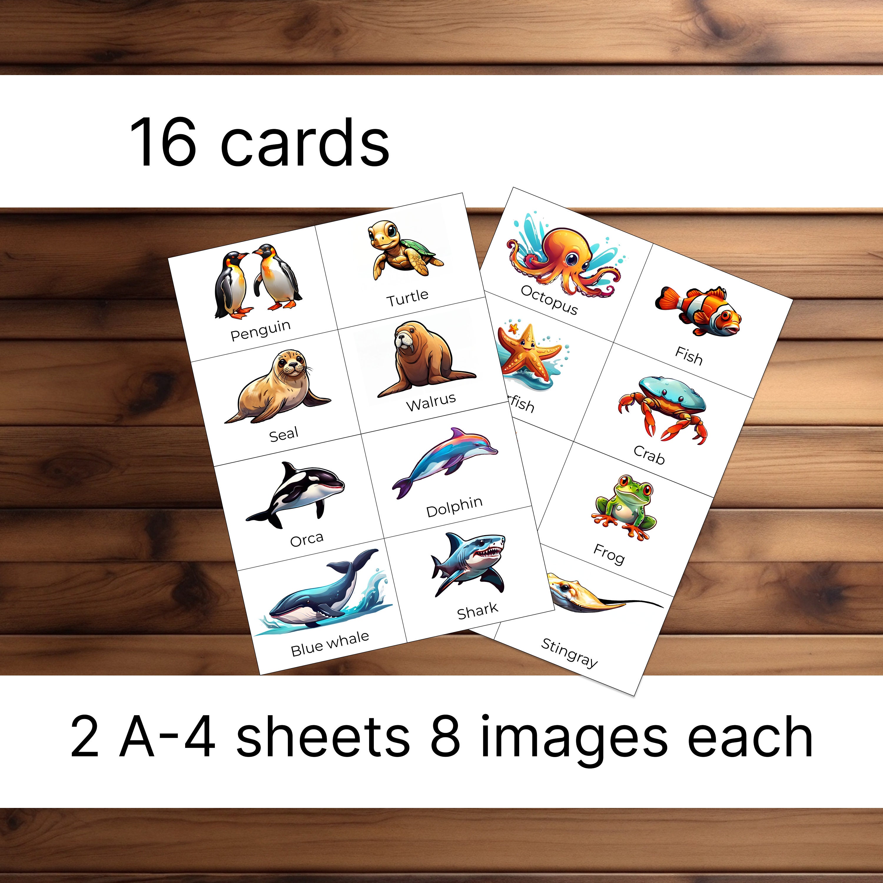 Cute Under the Sea Animals Flashcards | Marine Inhabitants A-4 | Ocean ...