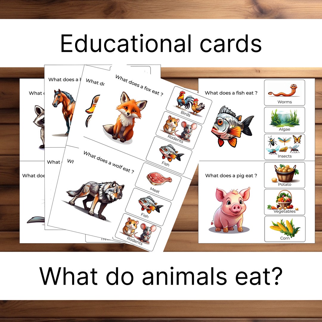Educational Cards, Learn What Animals Eat, Cute Animals Flash Cards ...