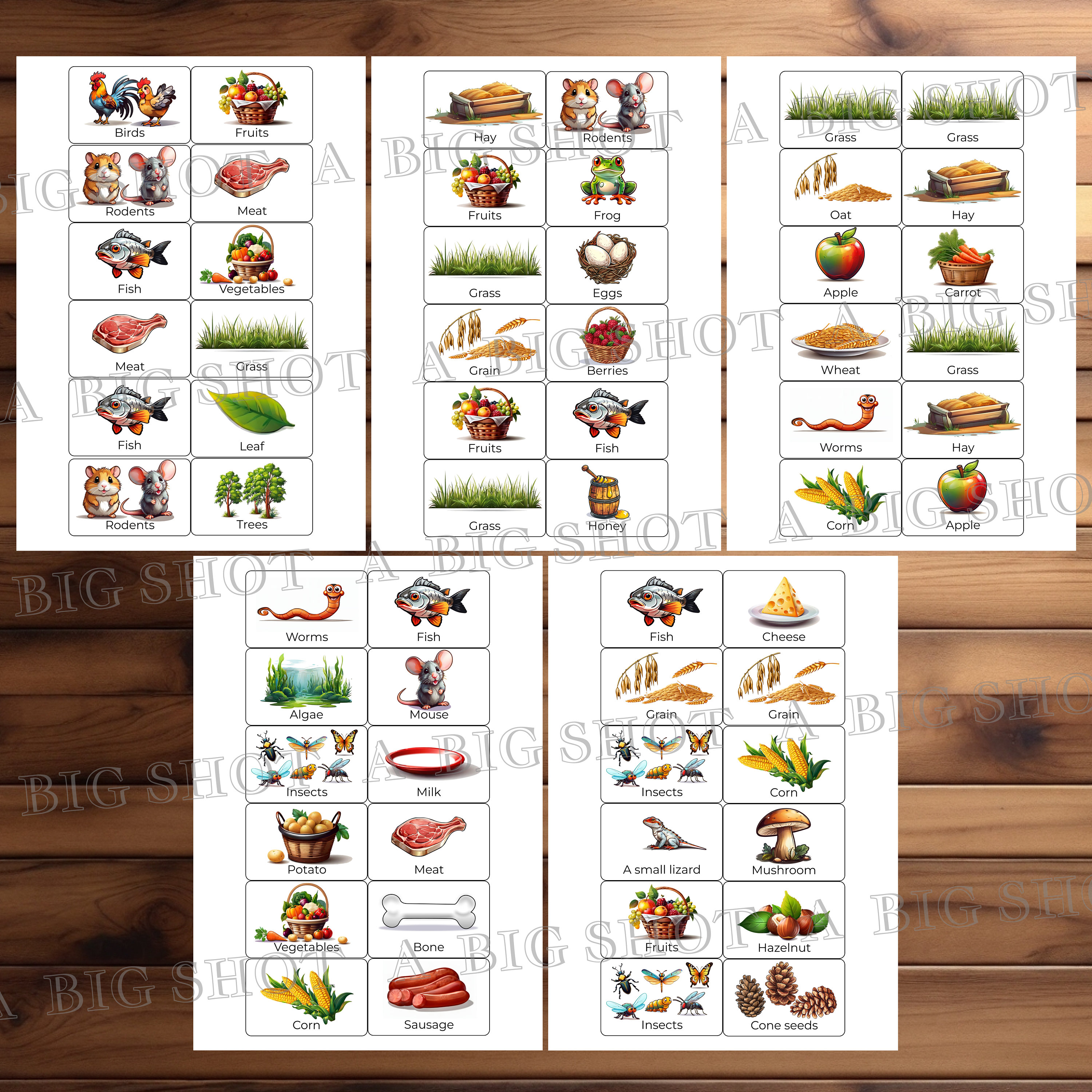 Animal Flashcards for Kids | What Do Animals Eat? | Printable ...