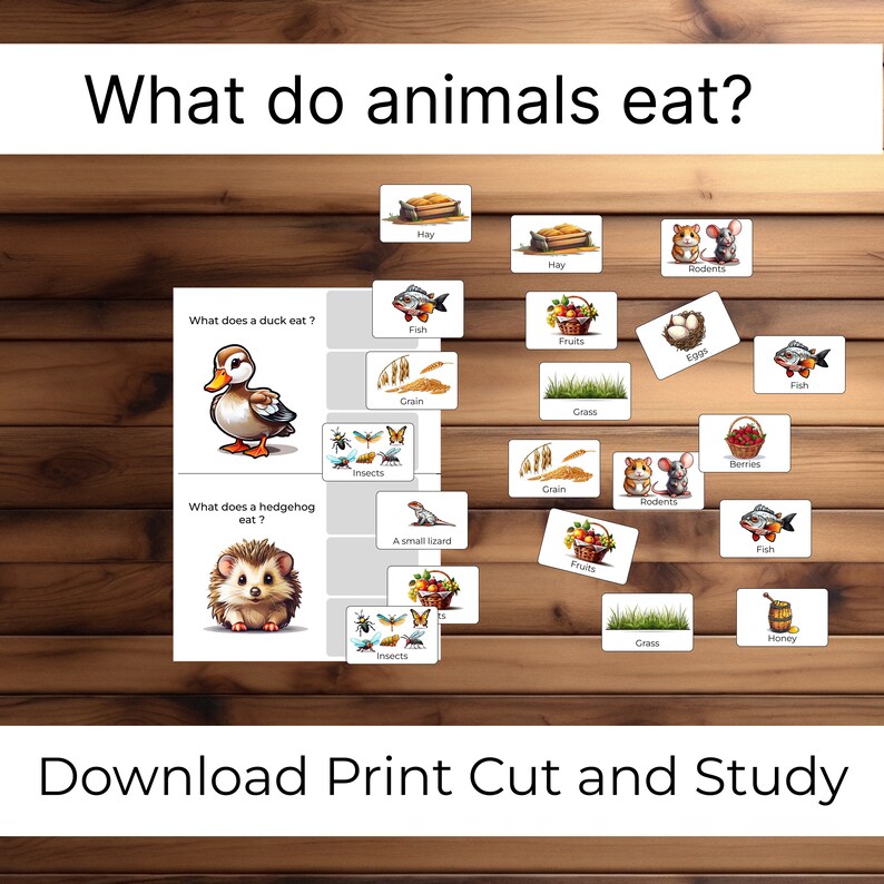 Animal Flashcards for Kids | What Do Animals Eat? | Printable ...