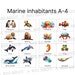 Cute Under the Sea Animals Flashcards | Marine Inhabitants A-4 | Ocean ...