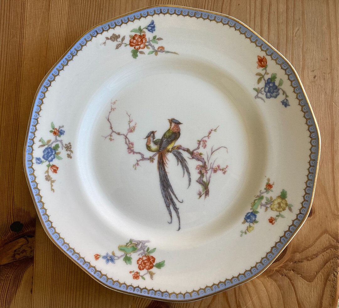 Vintage Dinner Plate in Paradise Pattern by Theodore Haviland, France ...