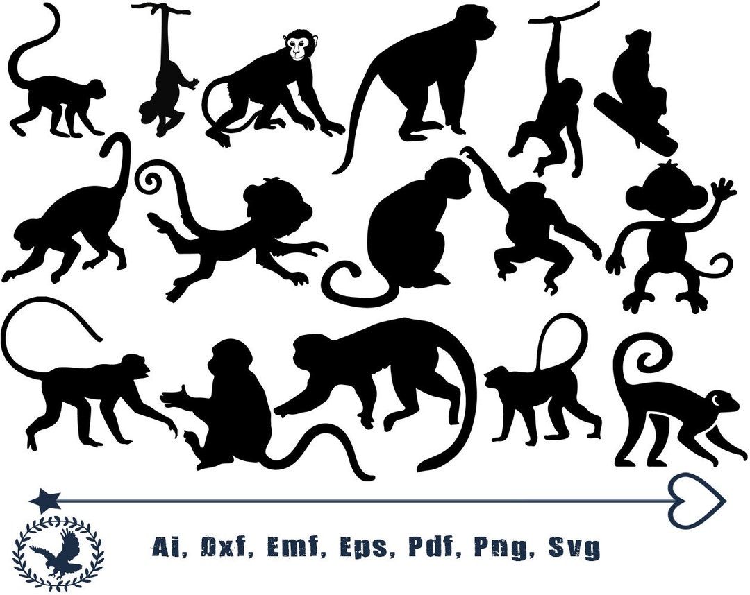 MONKEY SVG, Monkeys Svg, Ape Svg, Chimp Svg, Primat Svg, Nature Svg ...