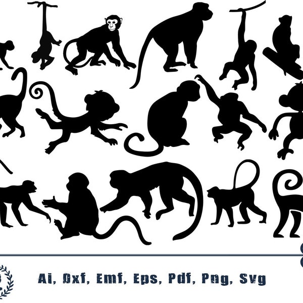 Monkey Svg - Etsy