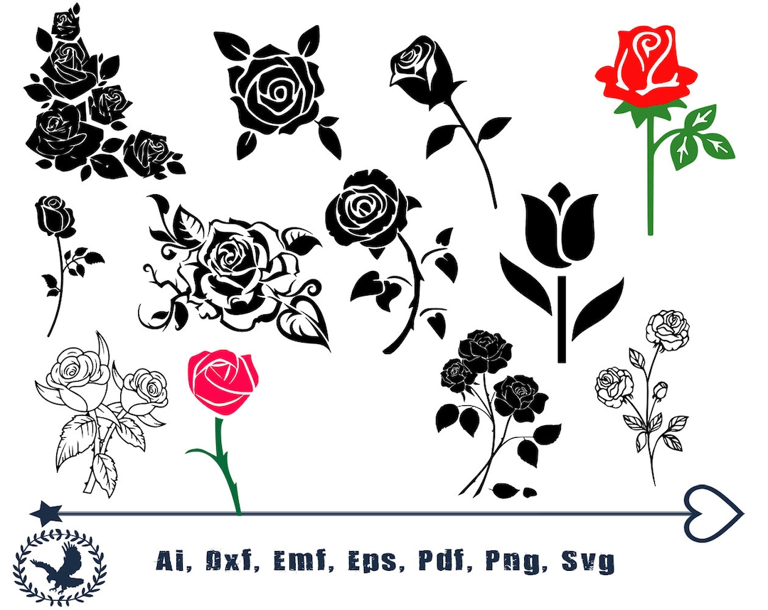ROSE SVG, Roses Svg, Valentine Svg, Valentine Rose, Flower Svg, Floral ...