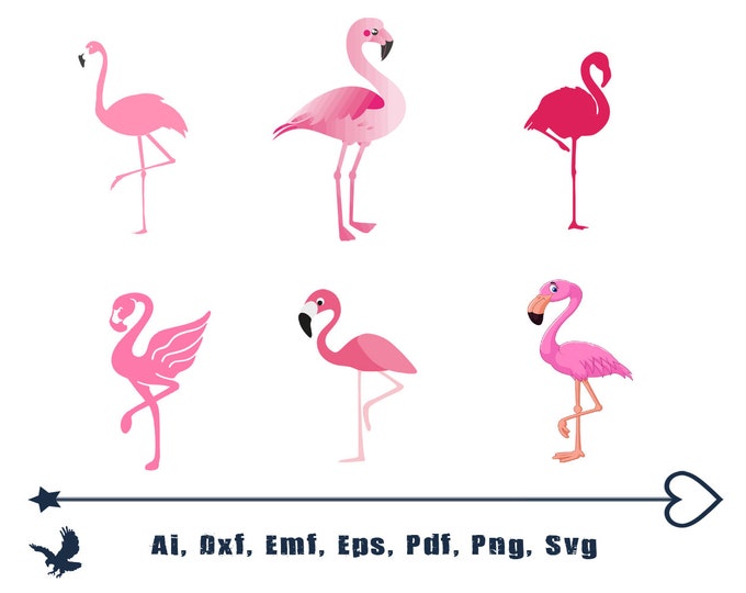 Flamingo SVG, Flamingo Clipart, Zoo SVG, Animal Svg, Beach Svg, SVG ...