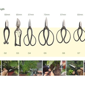 Zhensanhuan Forged Gardening Scissors, Flower Twig Shears - Etsy