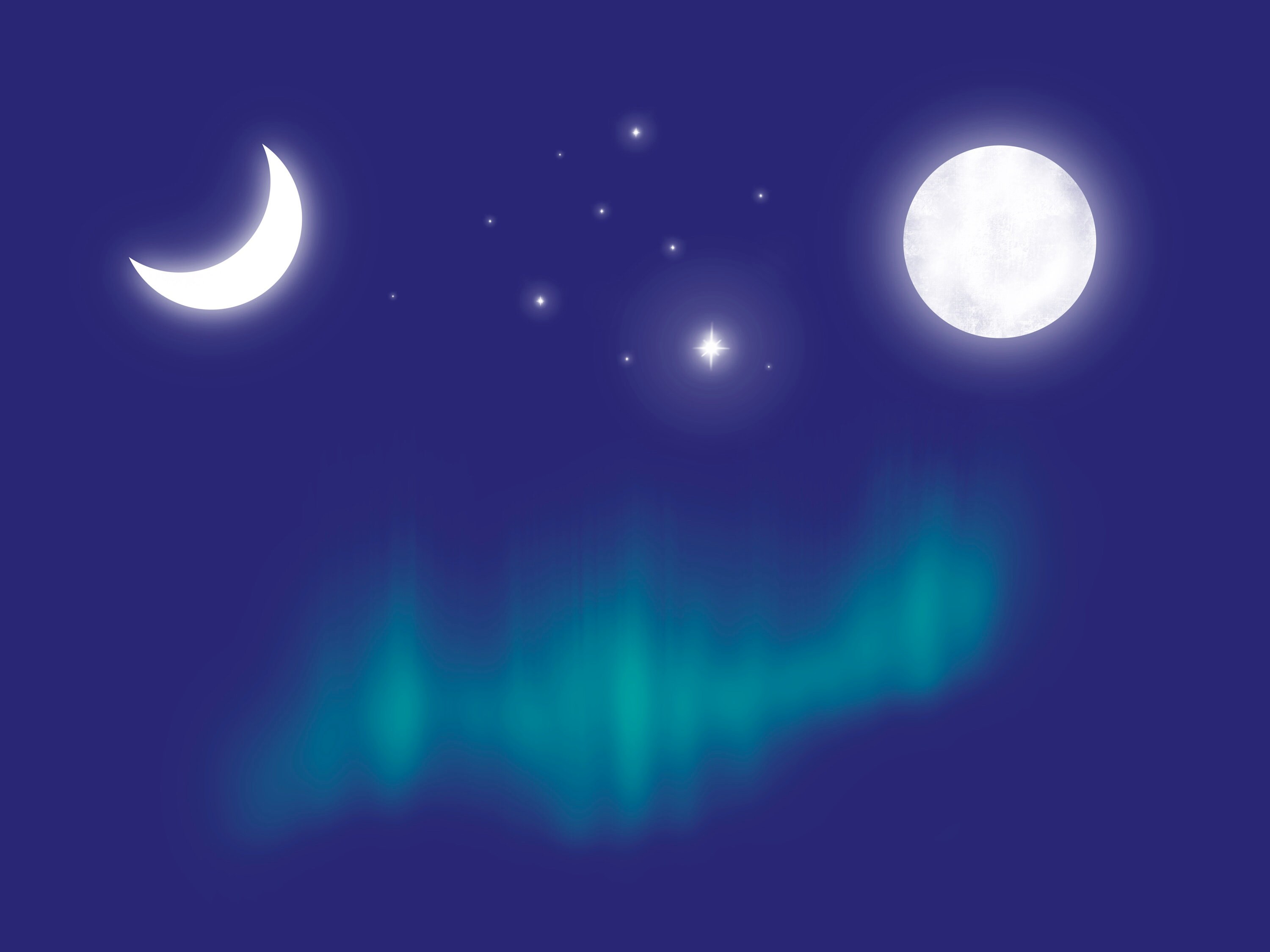 Winter Forest Brush Set for Procreate Snowy Stamps and | Etsy