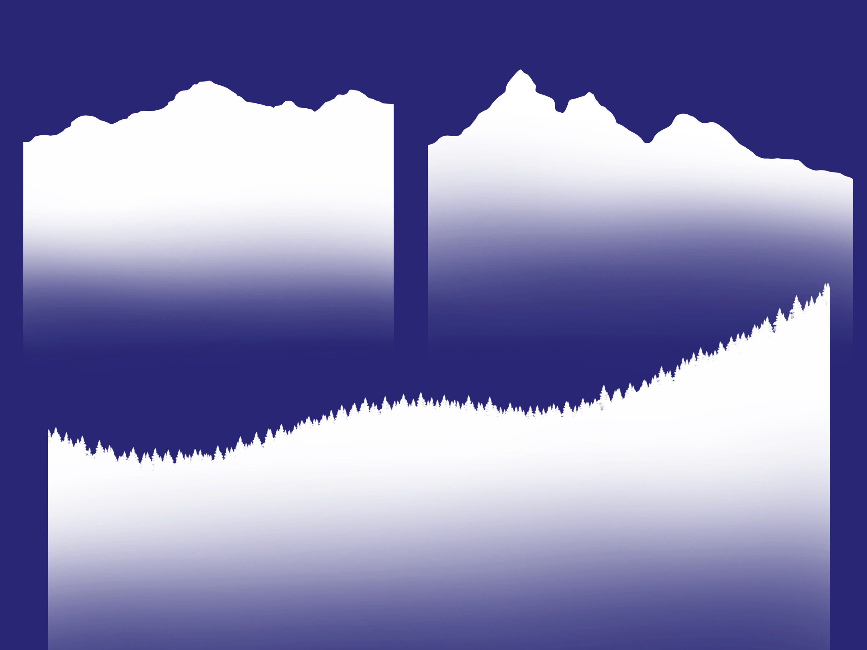 Winter Forest Brush Set for Procreate Snowy Stamps and | Etsy