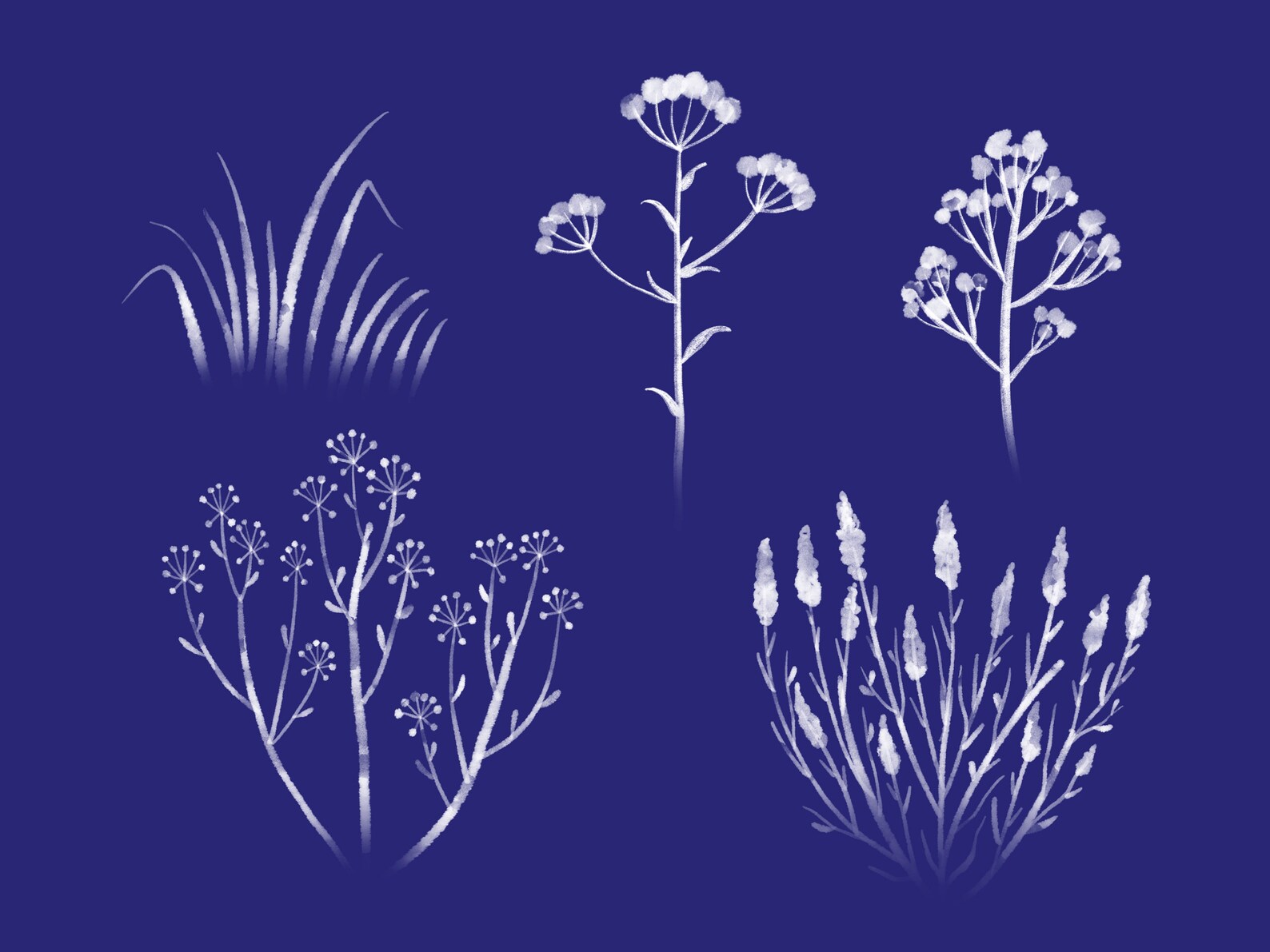 Winter Forest Brush Set for Procreate Snowy Stamps and | Etsy