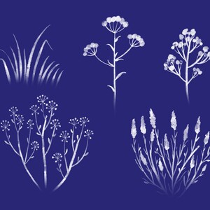 Winter Forest Brush Set for Procreate, Snowy Stamps and Botanical ...