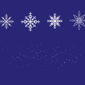 Winter Forest Brush Set for Procreate, Snowy Stamps and Botanical ...