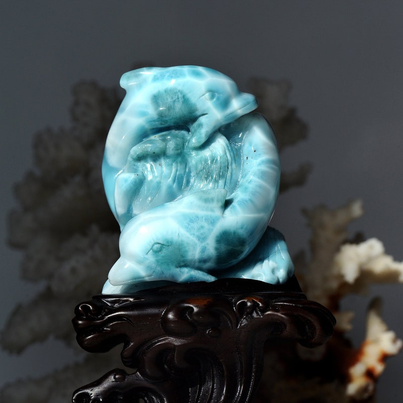 Dolphin Stone - Etsy