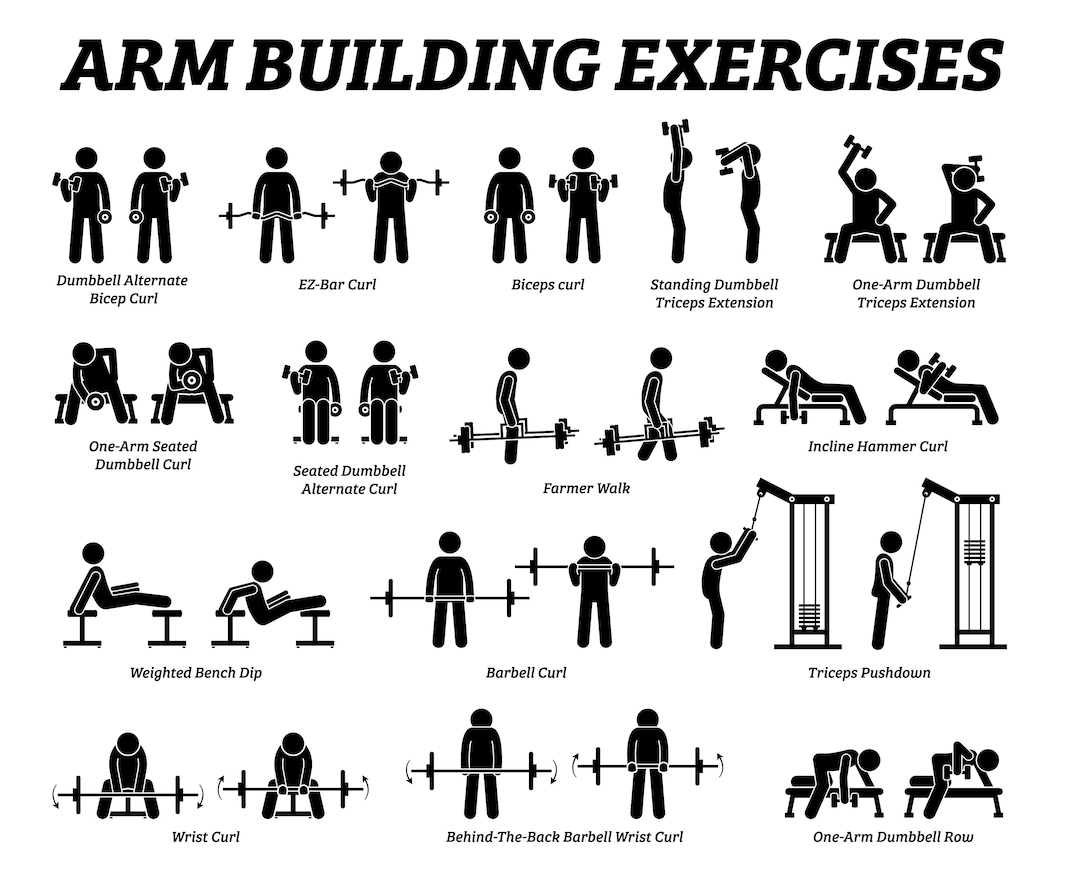 Arm Hand Body Building Exercise Muscle Workout Weights Weight Training ...