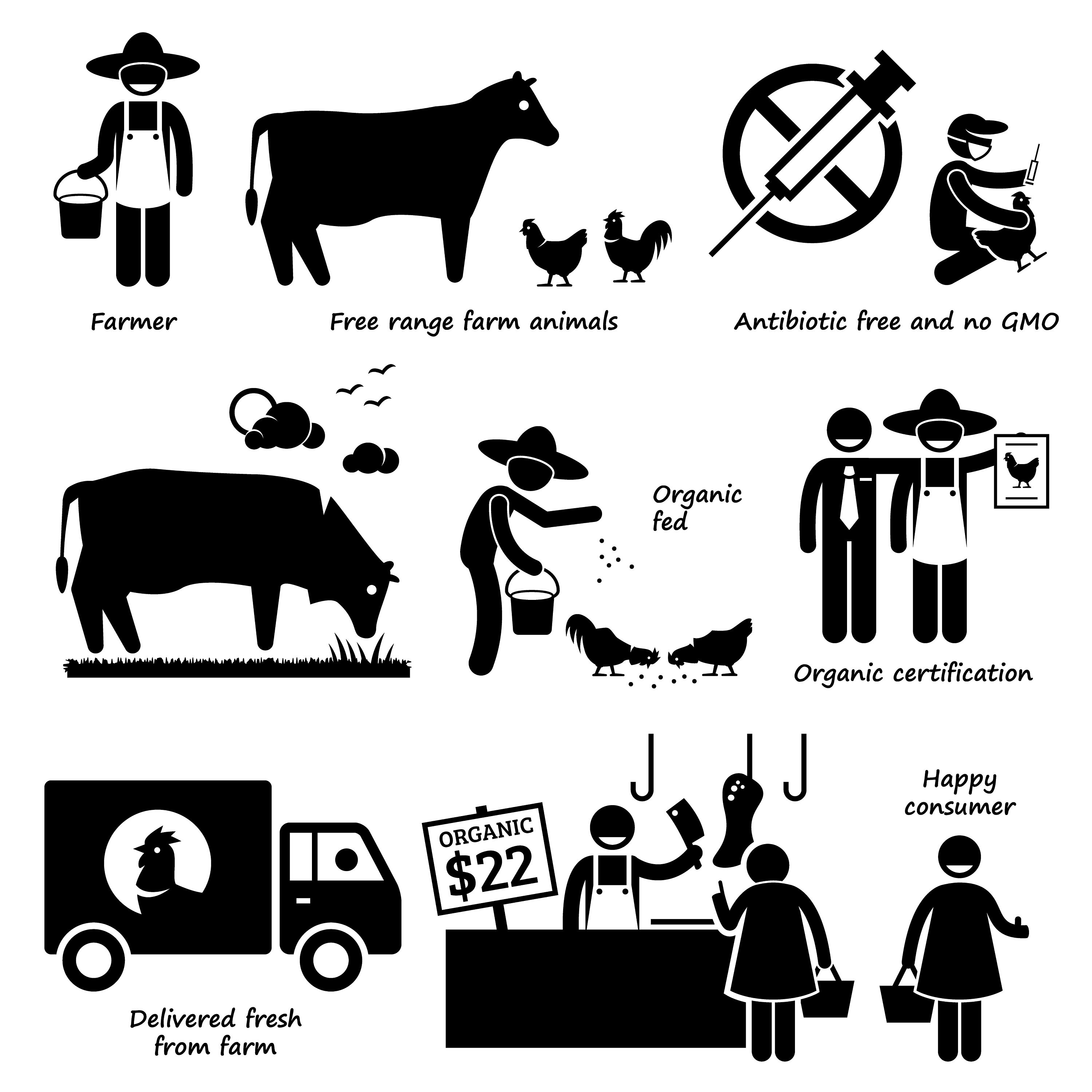 Free Range Farm Animals