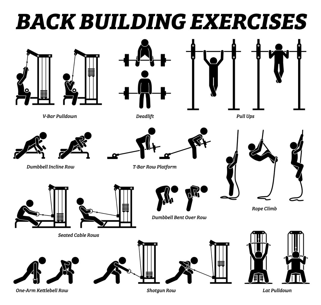 Back Body Building Exercises Fitness Train Training Muscle Gym Machine ...