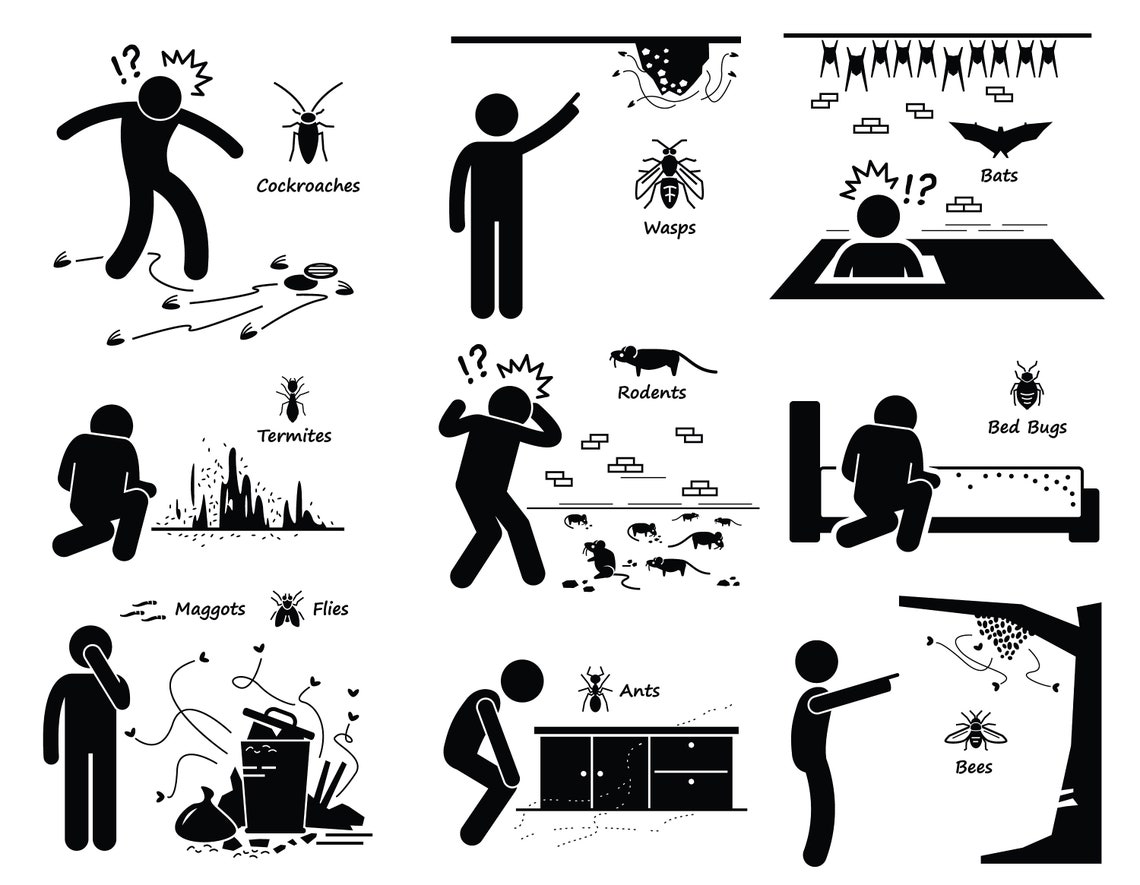 Pests Infestation Infested Cockroaches Wasp Bats Termites Rats Bed Bugs ...