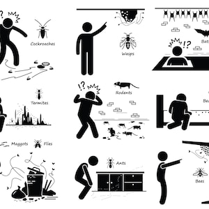 Pests Infestation Infested Cockroaches Wasp Bats Termites Rats Bed Bugs ...