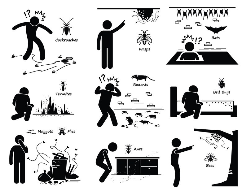 Pests Infestation Infested Cockroaches Wasp Bats Termites Rats Bed Bugs ...