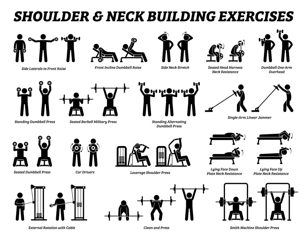 Shoulder Neck Bodybuilding Body Building Exercise Fitness Muscle Weight ...