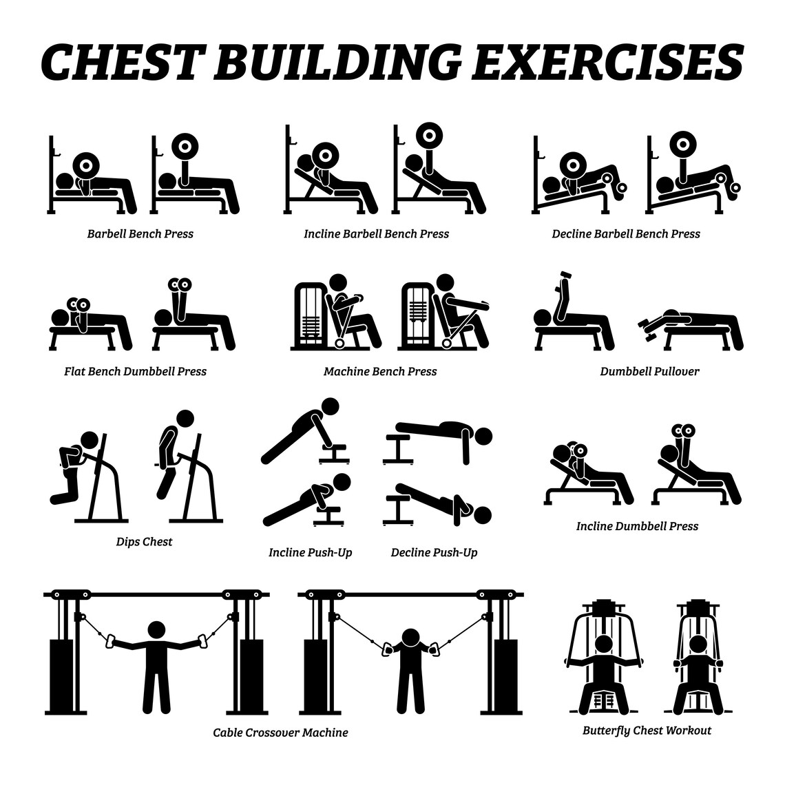Chest Body Building Bodybuilding Exercises Muscle Weight Train - Etsy