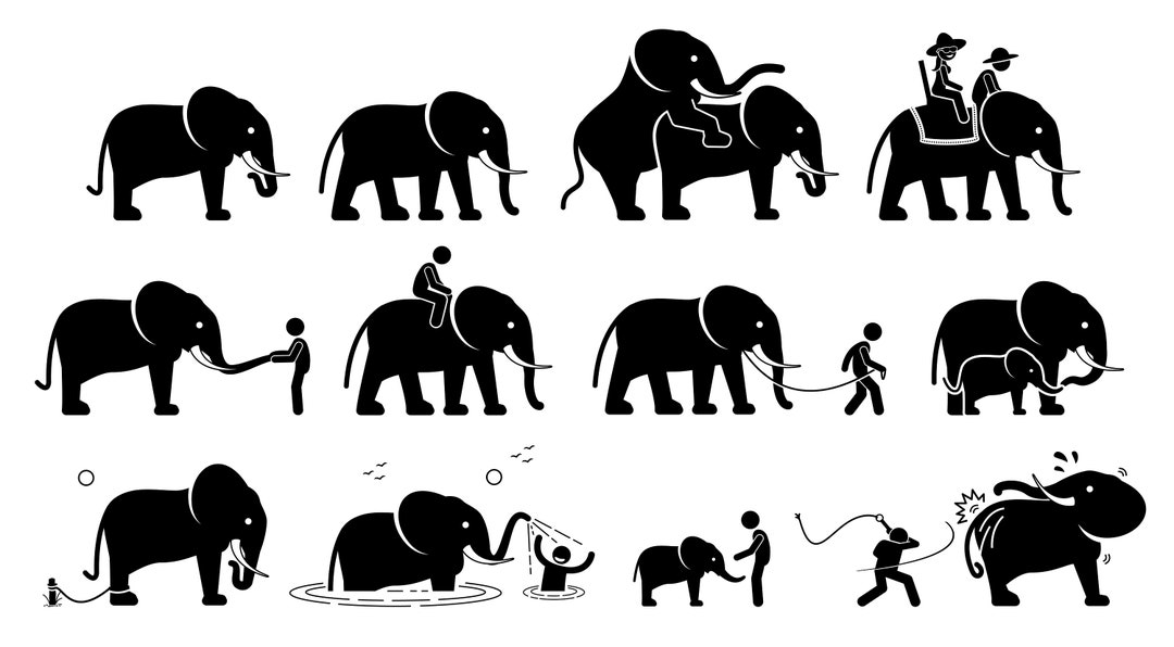 Human Elephant Calf Bathing Mating Train Training Pictograms Artwork ...