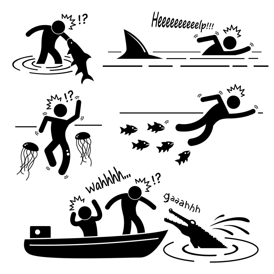 Water Sea River Animal Attack Attacking Human People Man Fish Shark ...