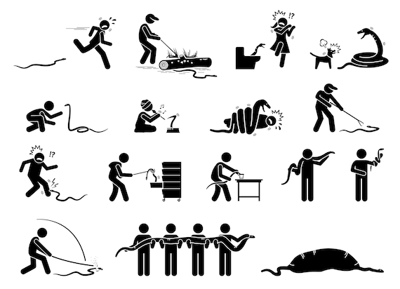 Snake Serpent Anaconda Python Human Hold Holding Scared Catch | Etsy