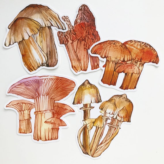 Paper & Party Supplies Nature's Mushroom Stickers Stickers etna.com.pe