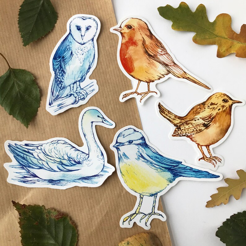 Pack of 5 Stickers Birds, Nature Stickers, Illustrated Stickers, Small ...