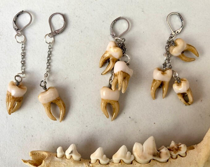 TEEF Dangle Earrings, Tooth Earring, Human Tooth Earrings, Dental ...