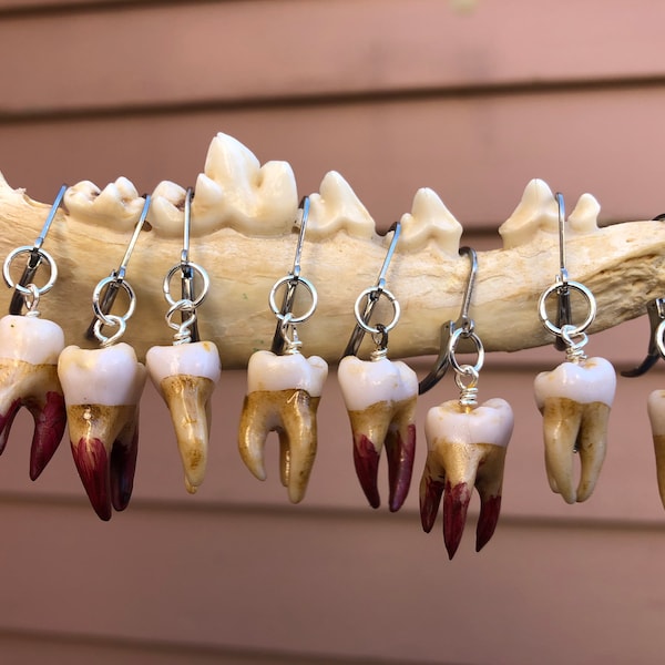 Weirdcore Teeth Necklace - Etsy