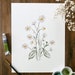 Daisy Watercolor Print | Botanical Wall Art - Etsy