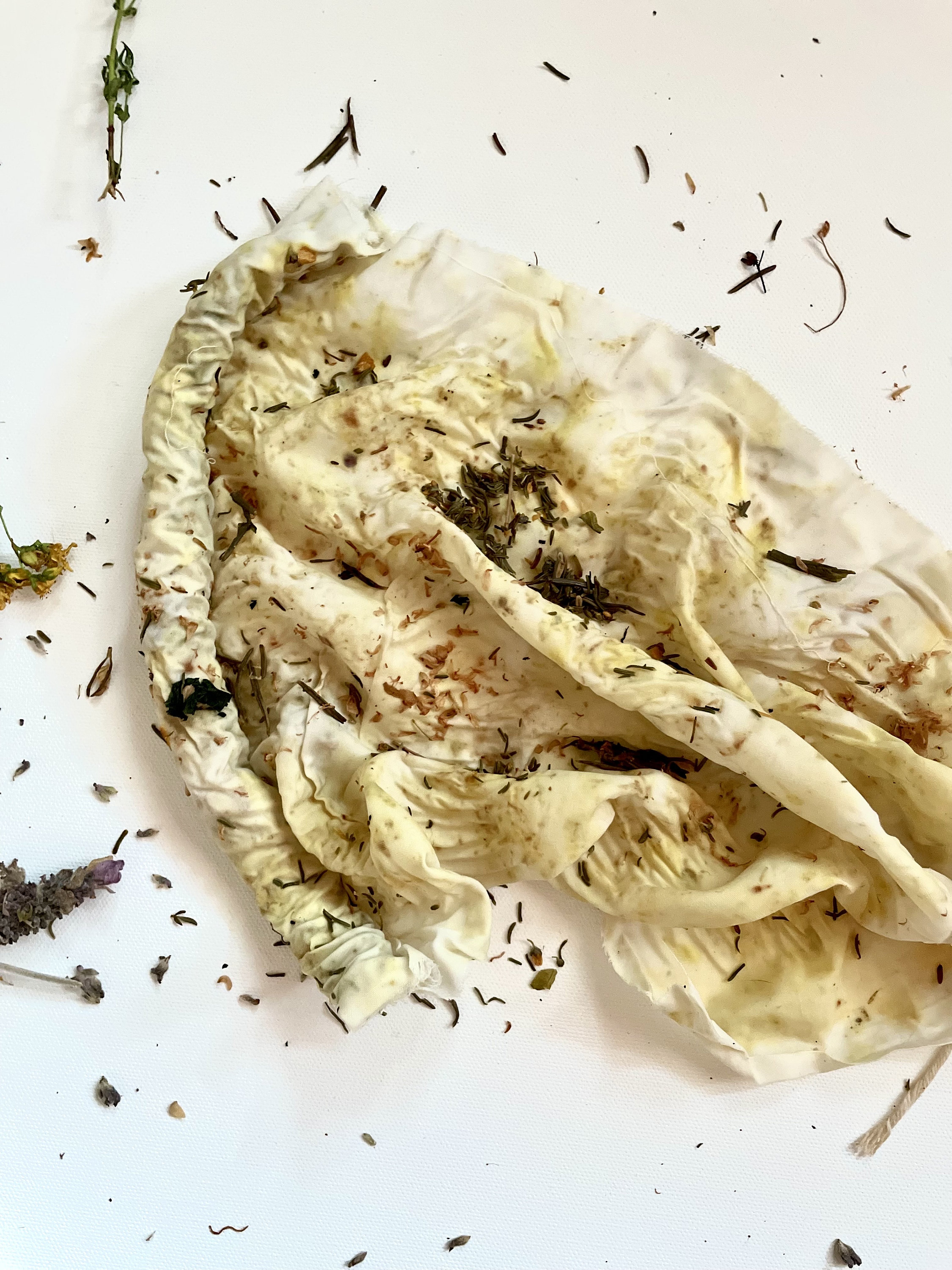 Botanical Bundle Dye Kit//natural Dyes Kit/botanical Dye Kit// DIY - Etsy
