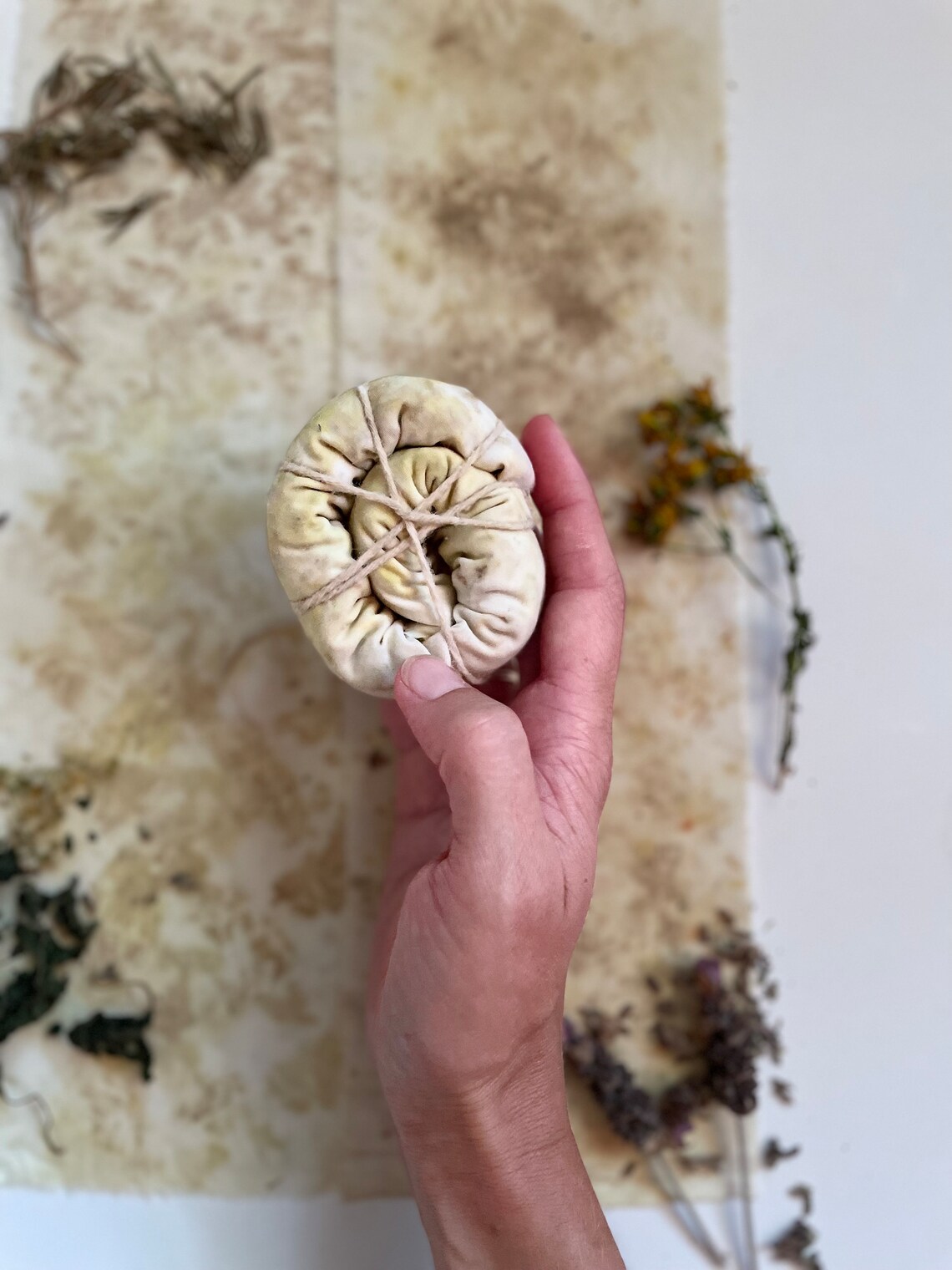 Botanical Bundle Dye Kit//natural Dyes Kit/botanical Dye Kit// DIY - Etsy