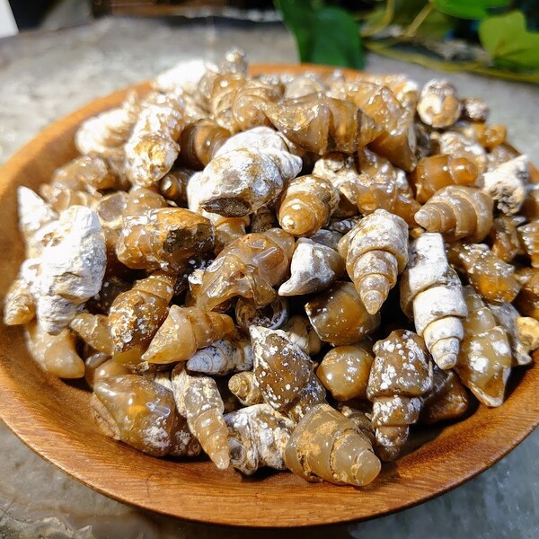 Crystal and Minerals - Etsy