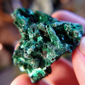 36.6g Small Silky Fibrous Malachite Specimen From Kasompe, Congo for ...