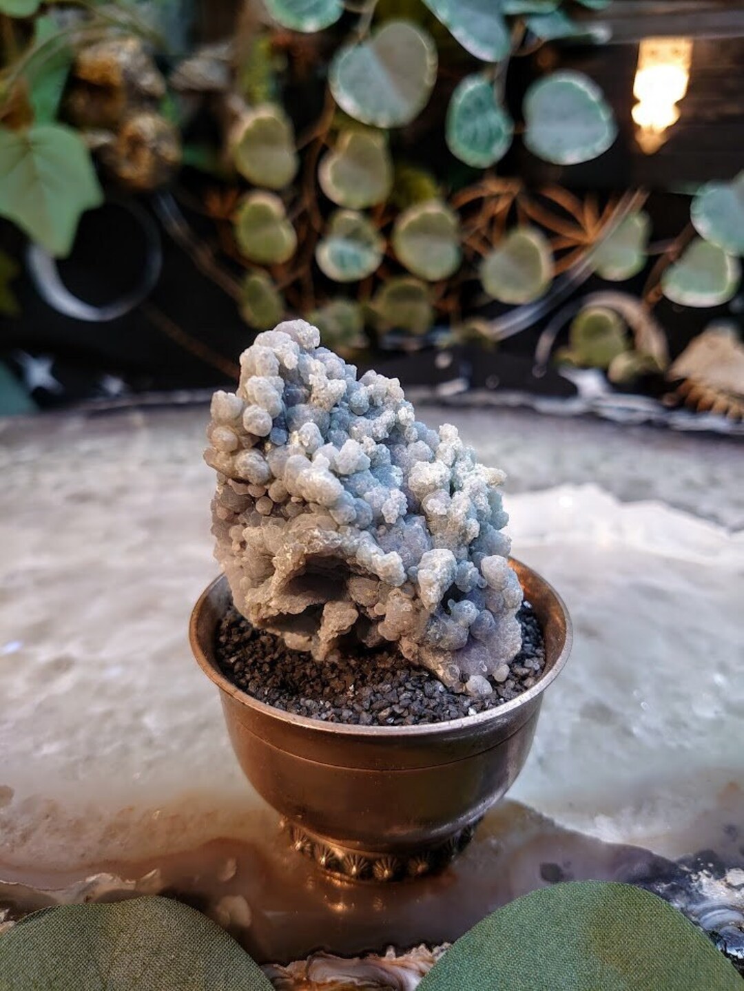 42g Small Grape Agate Cluster From Sulawesi, Indonesia for Collection ...
