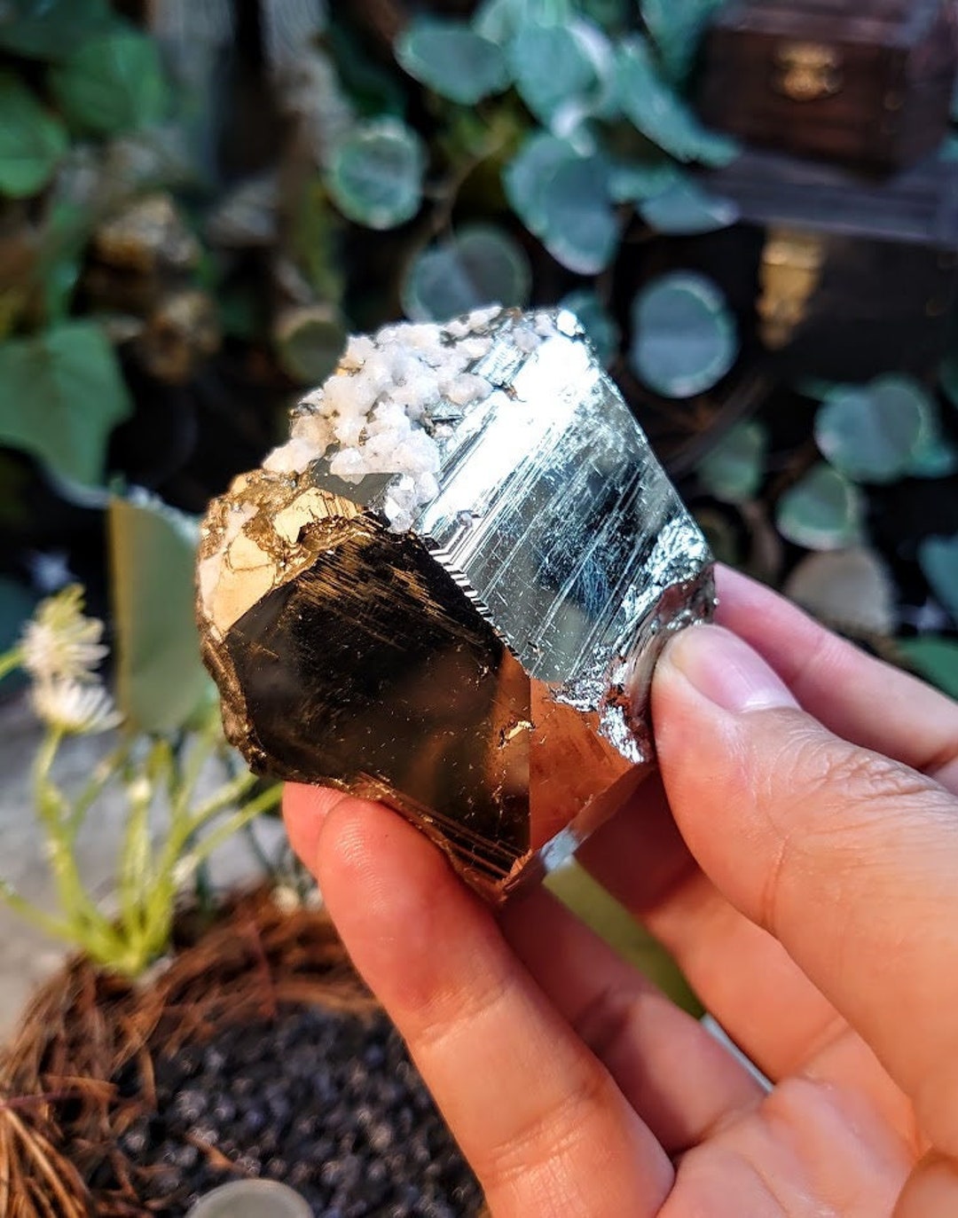 382g Beautiful Pyrite "fool's Gold" Cluster With Quartz From Huanzala ...