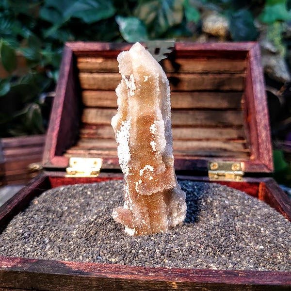 Witches Finger - Etsy