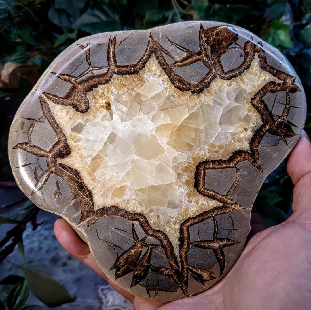 Septarian Nodule Slab With Calcite From Utah, United States / Slice ...
