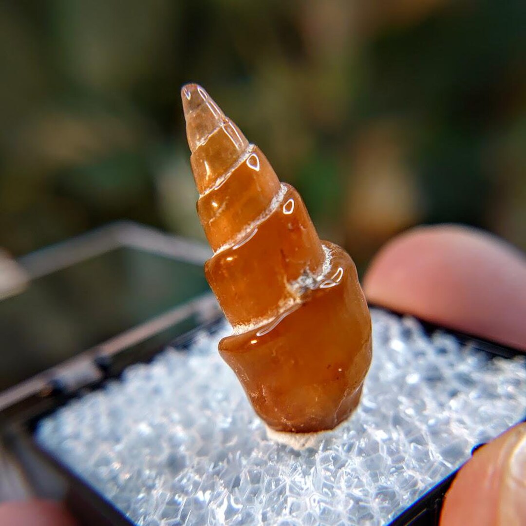 18.10ct Agatized Crystal Shell From Morocco for Crystal & Mineral ...