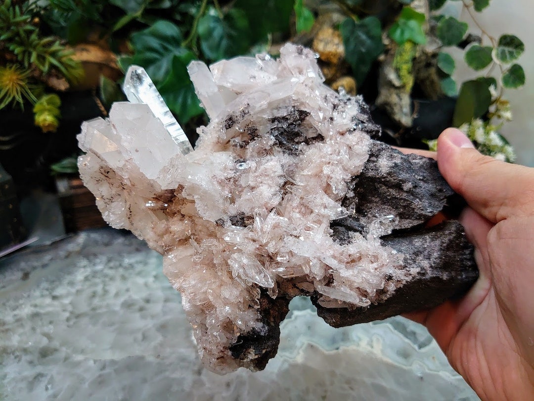 Double Terminated Tabular Point on Colombian Pink Quartz Cluster With ...